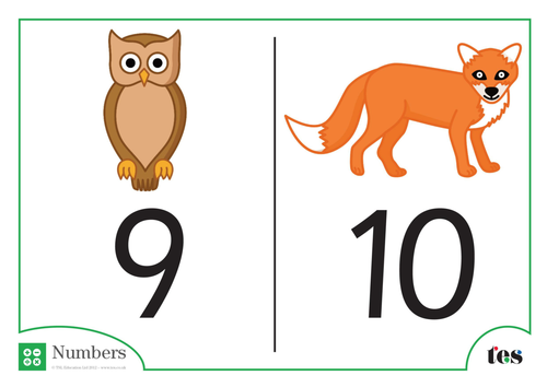 Number Cards - Nocturnal Animal Theme 1-10 | Teaching Resources