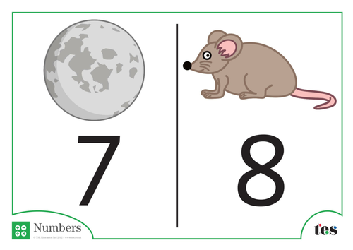 Number Cards - Nocturnal Animal Theme 1-10 | Teaching Resources