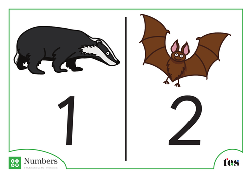 Number Cards - Nocturnal Animal Theme 1-10 | Teaching Resources