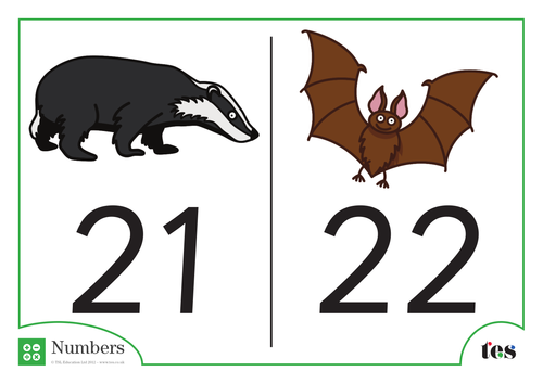 Number Cards - Nocturnal Animal Theme 21-30 | Teaching Resources