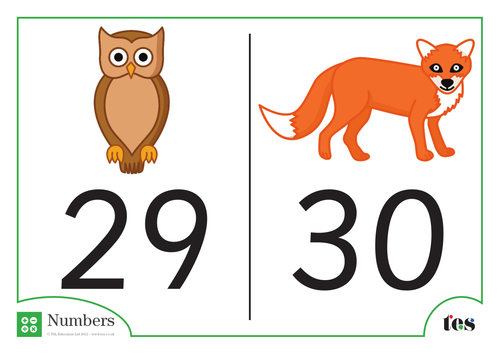 Number Cards - Nocturnal Animal Theme 21-30 | Teaching Resources