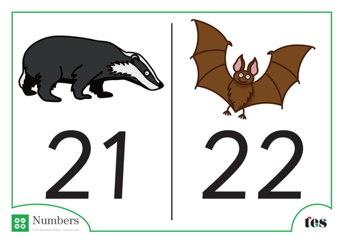 Number Cards - Nocturnal Animal Theme 21-30 | Teaching Resources