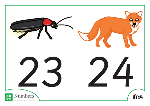 Number Cards - Nocturnal Animal Theme 21-30 | Teaching Resources