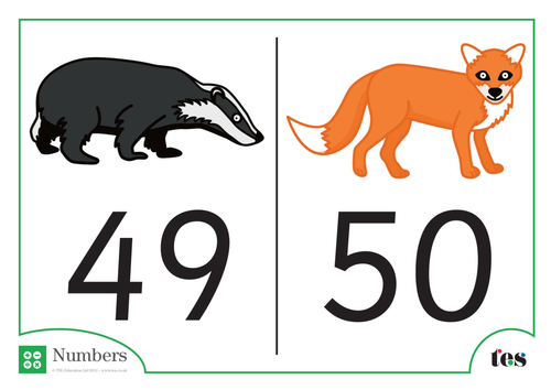 Number Cards - Nocturnal Animal Theme 41-50 | Teaching Resources