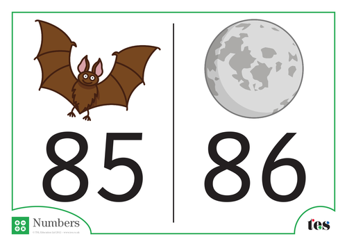 Number Cards - Nocturnal Animal Theme 81-90 | Teaching Resources