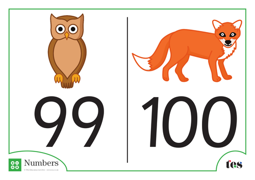 Number Cards - Nocturnal Animal Theme 91-100 | Teaching Resources