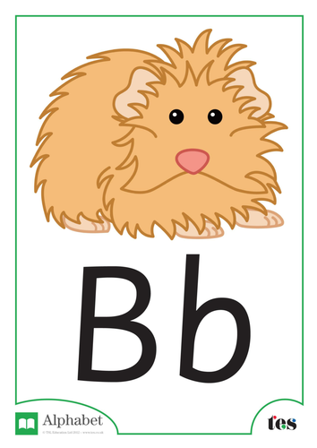 The Letter B - Pets Theme | Teaching Resources
