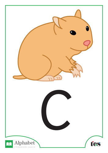 The Letter C - Pets Theme | Teaching Resources