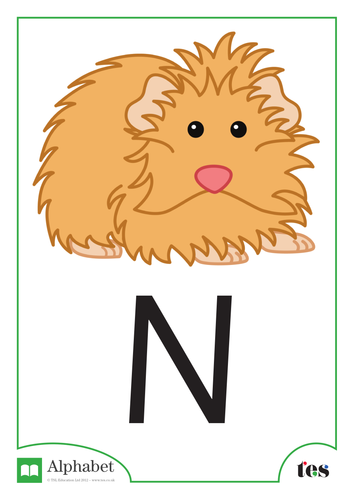 The Letter N - Pets Theme | Teaching Resources