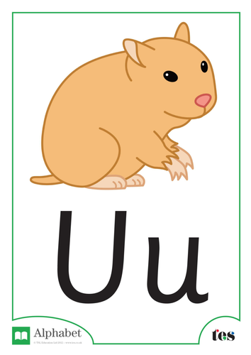 The Letter U - Pets Theme | Teaching Resources