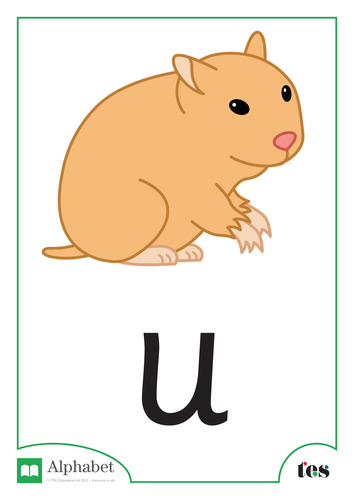 The Letter U - Pets Theme | Teaching Resources