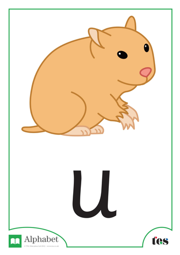 The Letter U - Pets Theme | Teaching Resources