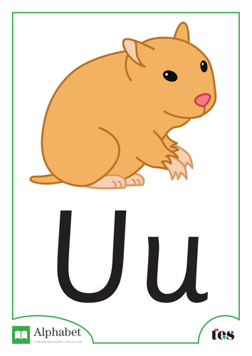 The Letter U - Pets Theme | Teaching Resources