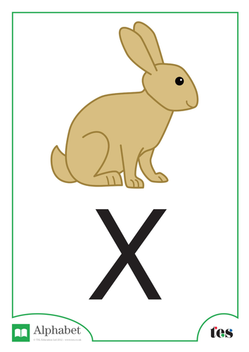 The Letter X - Pets Theme | Teaching Resources