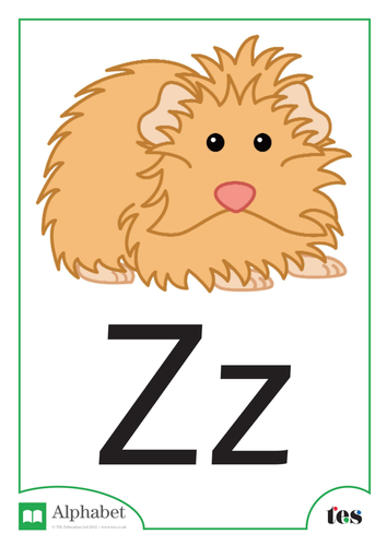 The Letter Z - Pets Theme | Teaching Resources