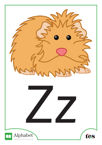 The Letter Z - Pets Theme | Teaching Resources