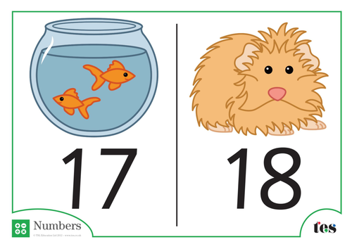 Number Cards - Pet Theme 11-20 | Teaching Resources