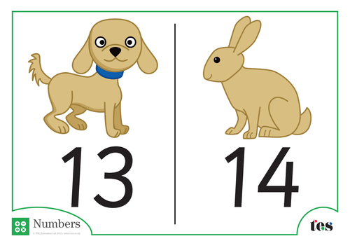 Number Cards - Pet Theme 11-20 | Teaching Resources