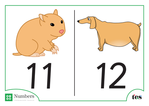 Number Cards - Pet Theme 11-20 | Teaching Resources
