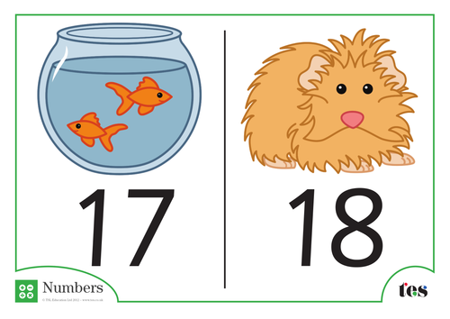 Number Cards - Pet Theme 11-20 | Teaching Resources