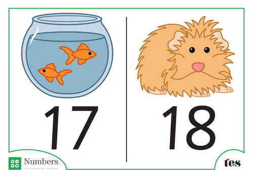 Number Cards - Pet Theme 11-20 | Teaching Resources