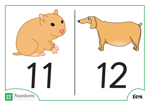 Number Cards - Pet Theme 11-20 | Teaching Resources