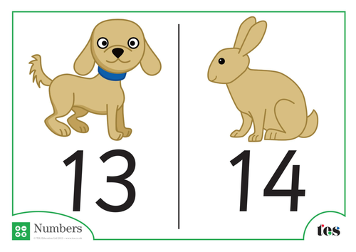Number Cards - Pet Theme 11-20 | Teaching Resources