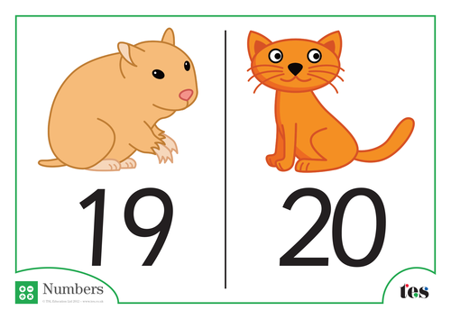 Number Cards - Pet Theme 11-20 | Teaching Resources