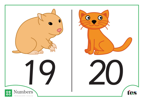 Number Cards - Pet Theme 11-20 | Teaching Resources
