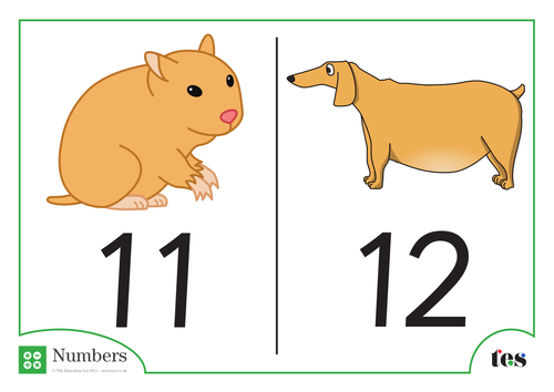 Number Cards - Pet Theme 11-20 | Teaching Resources