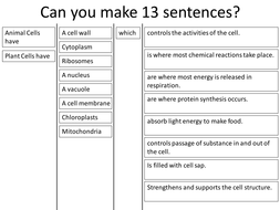 Plant and Animal Cell sentences | Teaching Resources