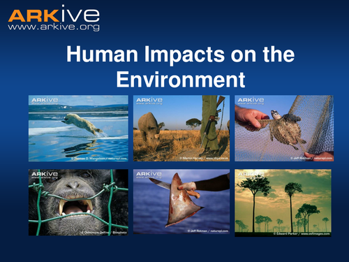 Human Impacts on the Environment - KS4 | Teaching Resources