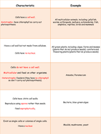 Classification (B1 edexcel) | Teaching Resources