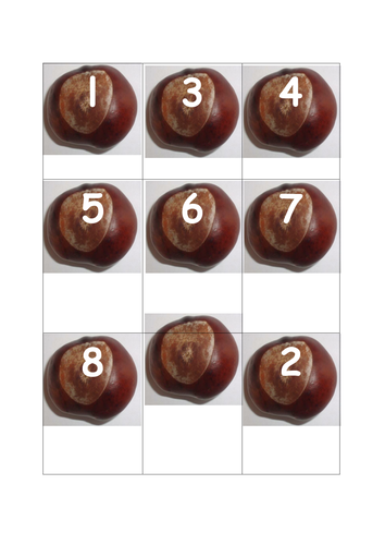 conker number cards | Teaching Resources