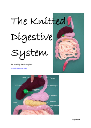 Tactile models of the digestive system | Teaching Resources