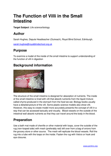 Function of Villi in the Small Intestine. | Teaching Resources