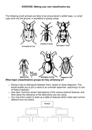 Invertebrate classification key | Teaching Resources