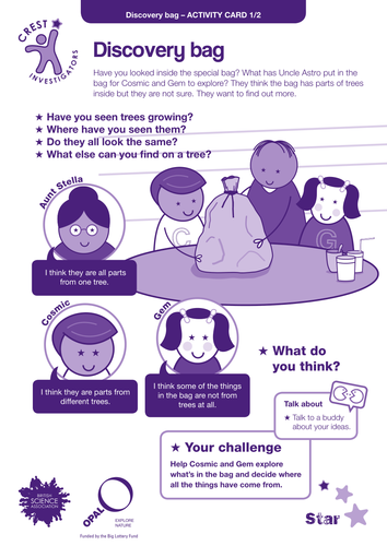 Discovery Bag Star activity | Teaching Resources