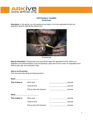 Opposable Thumbs | Teaching Resources