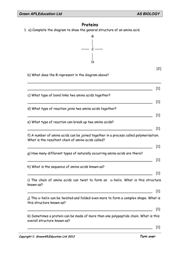 FREE Biology Revision: Proteins worksheet | Teaching Resources