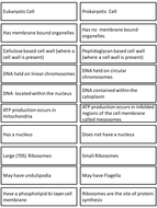 prokaryotic and eukaryotic cells card sort | Teaching Resources