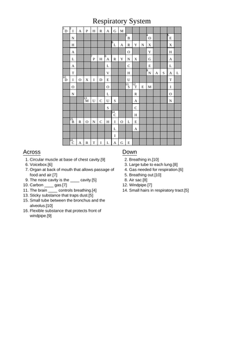 Respiratory system crossword puzzle | Teaching Resources