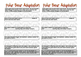 Polar Bear Adaptation | Teaching Resources