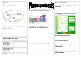 Photosynthesis revision sheets | Teaching Resources