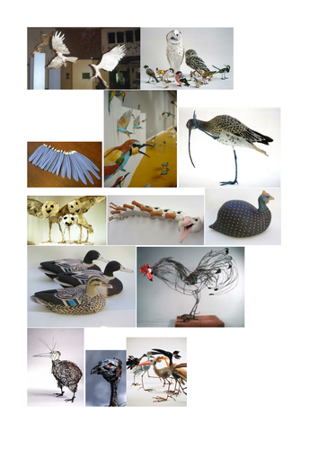 Bird Sculpture project | Teaching Resources