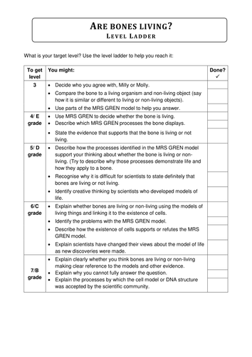 bones level ladder | Teaching Resources