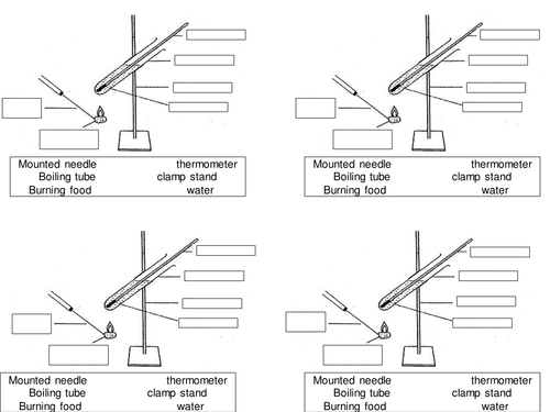 Energy in Food Investigation | Teaching Resources