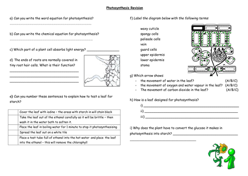 Photosynthesis revision sheet | Teaching Resources Photosynthesis revision sheet | Teaching Resources