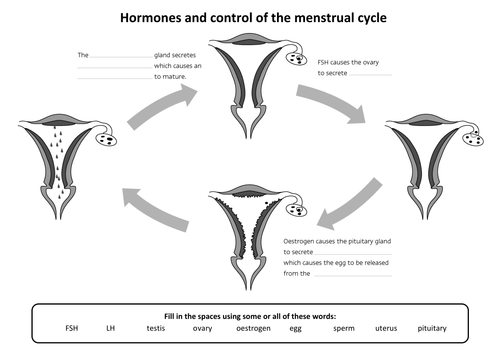 B1.1 Hormones & Menstrual cycle - AQA Core science | Teaching Resources