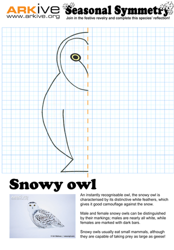 Seasonal Species Symmetry | Teaching Resources